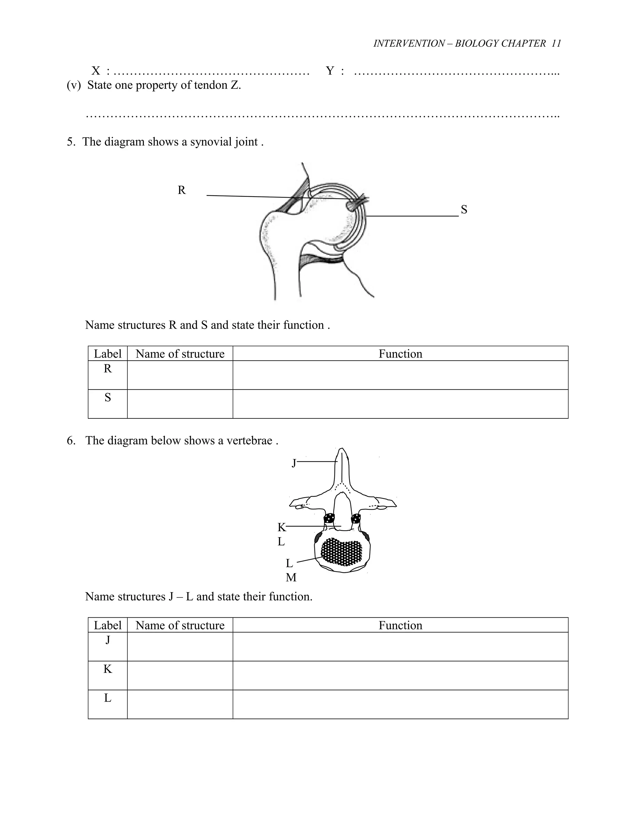 Intervensi biology Form 5 chapter 2 | PDF