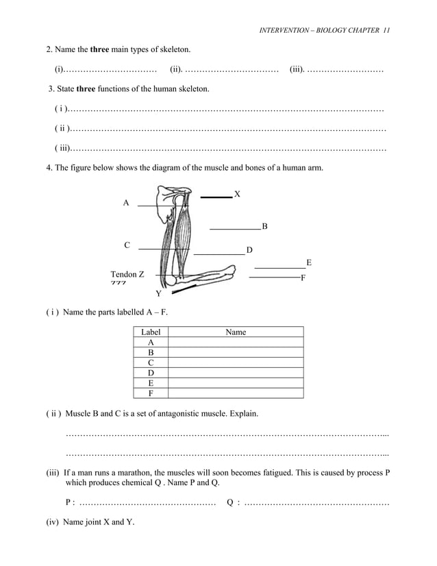 Intervensi biology Form 5 chapter 2 | PDF