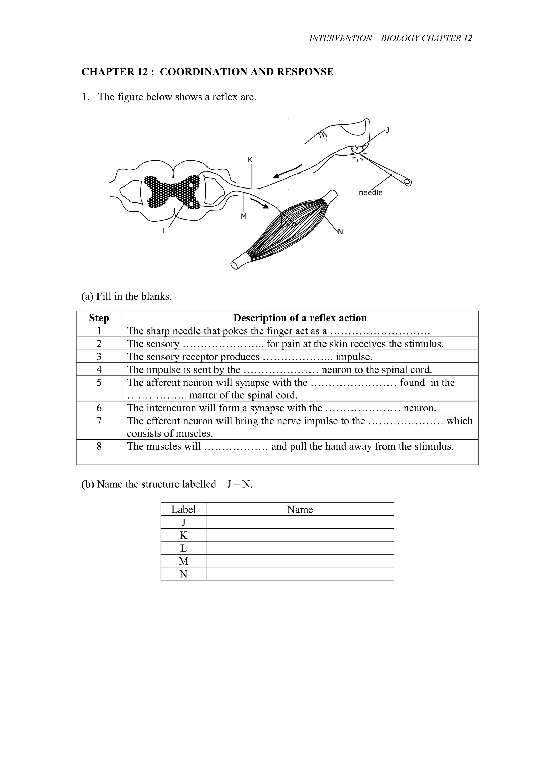 Intervensi biology Form 5 chapter 3 | PDF