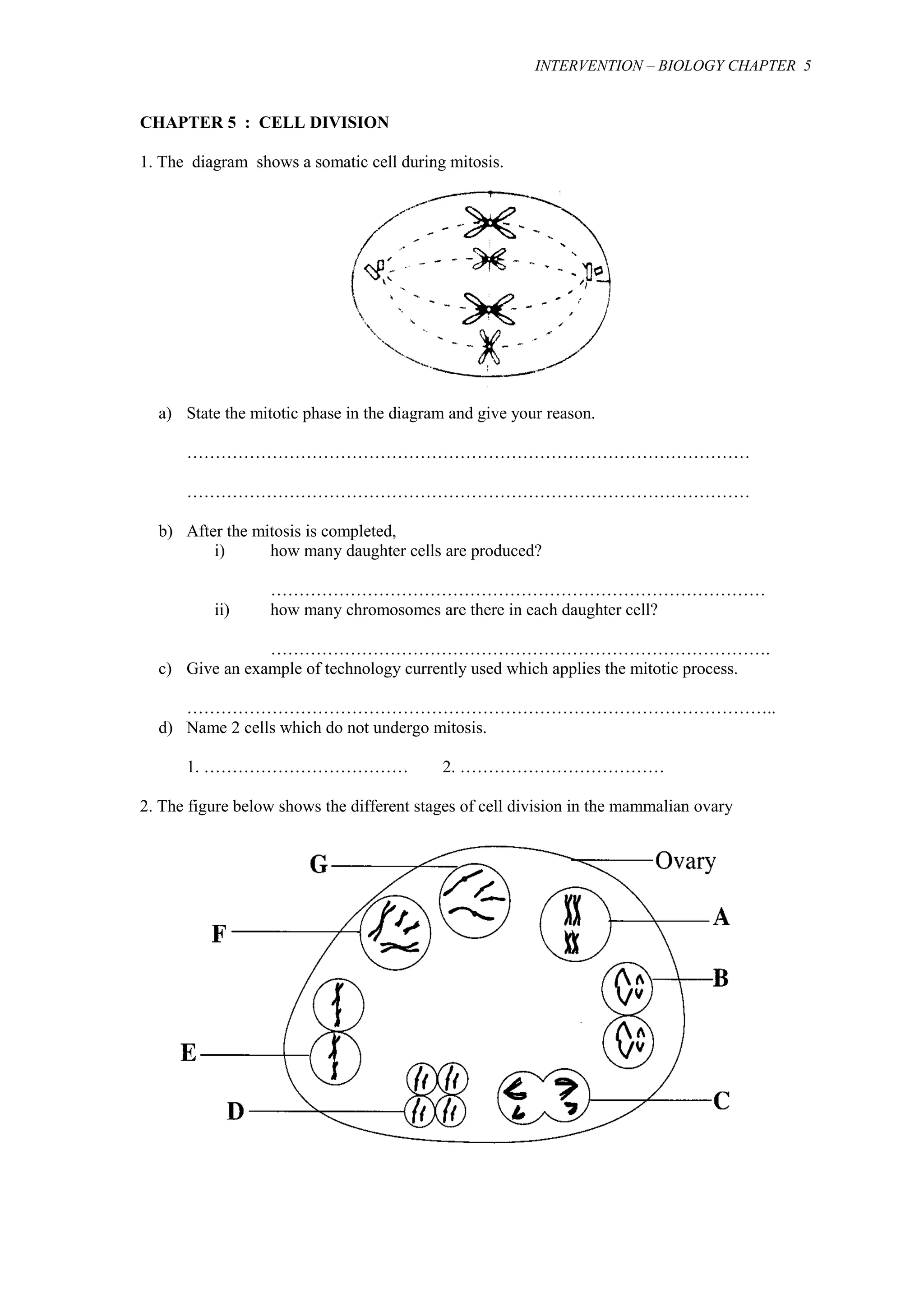 Intervensi biology Form 4 chapter 5 | PDF