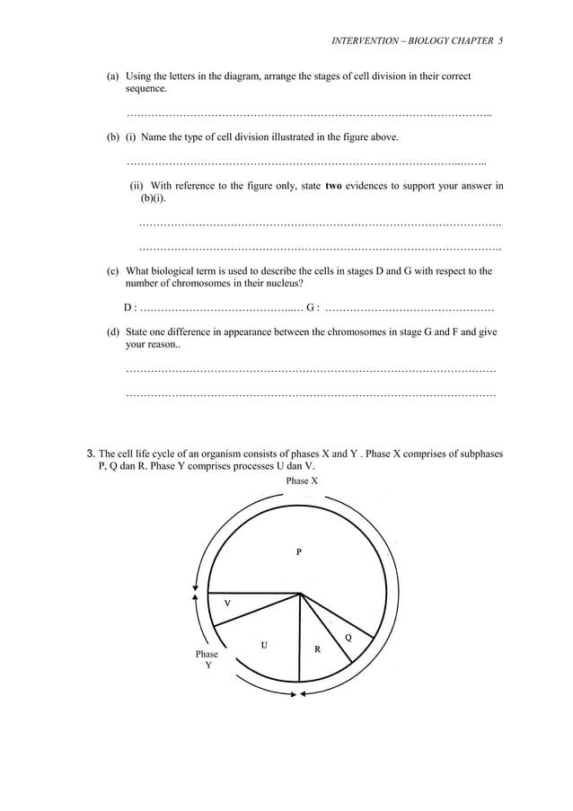 Intervensi biology Form 4 chapter 5 | PDF
