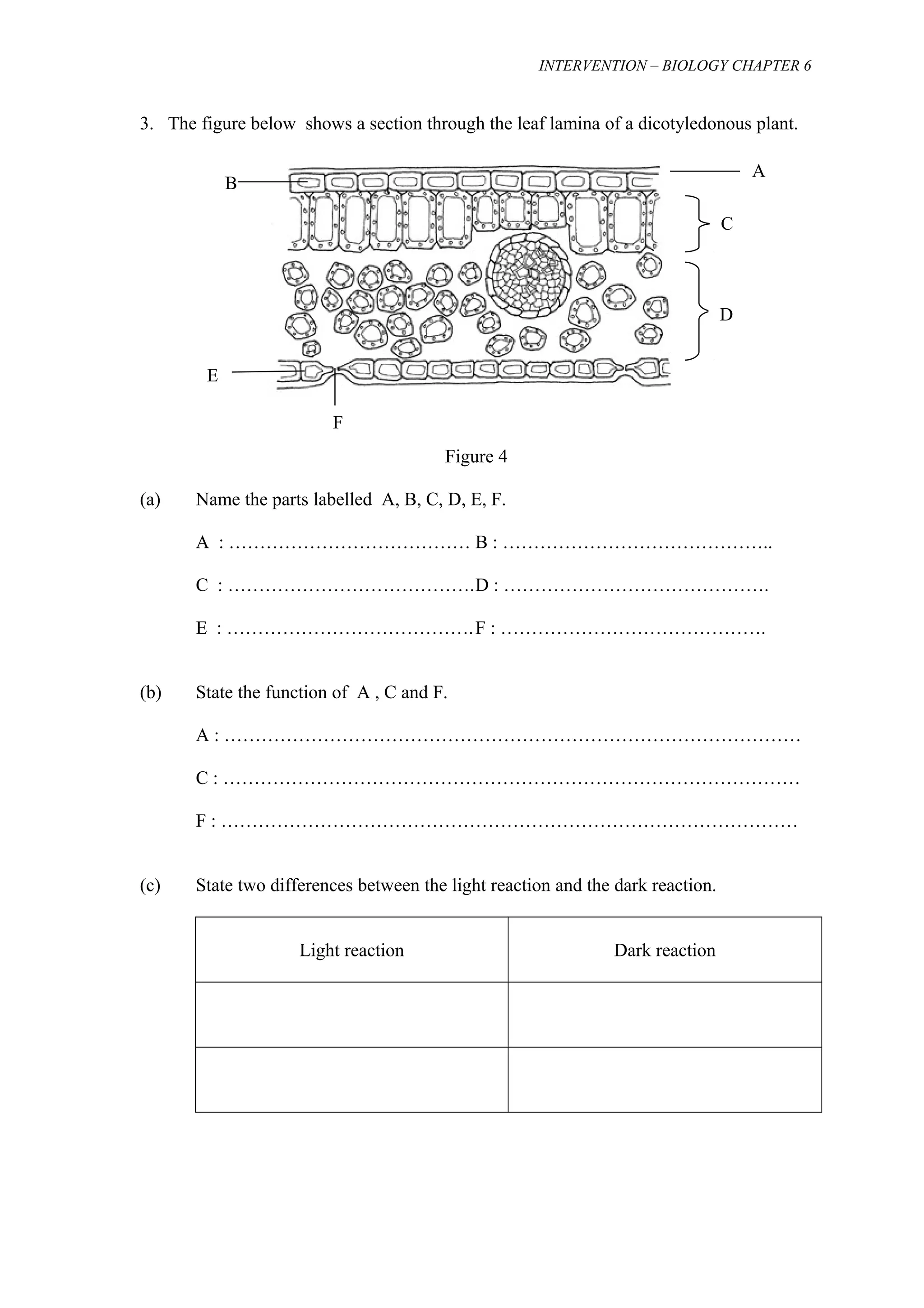 Intervensi biology Form 4 chapter 6 | PDF