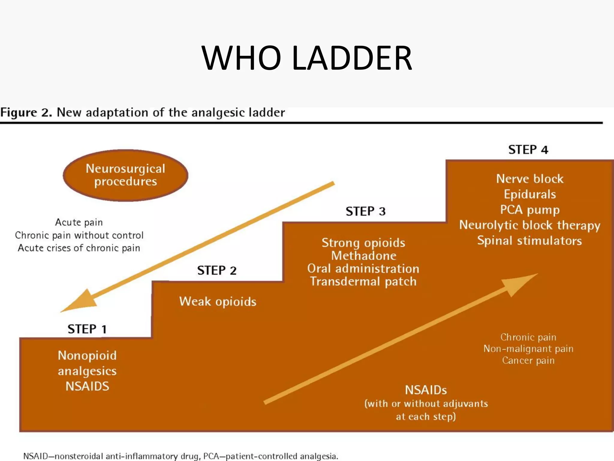Interventional pain management | PDF