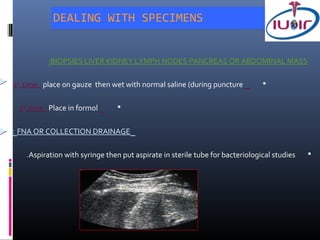 Interventional radiology1 | PPT | Medical Tests | Medical Health