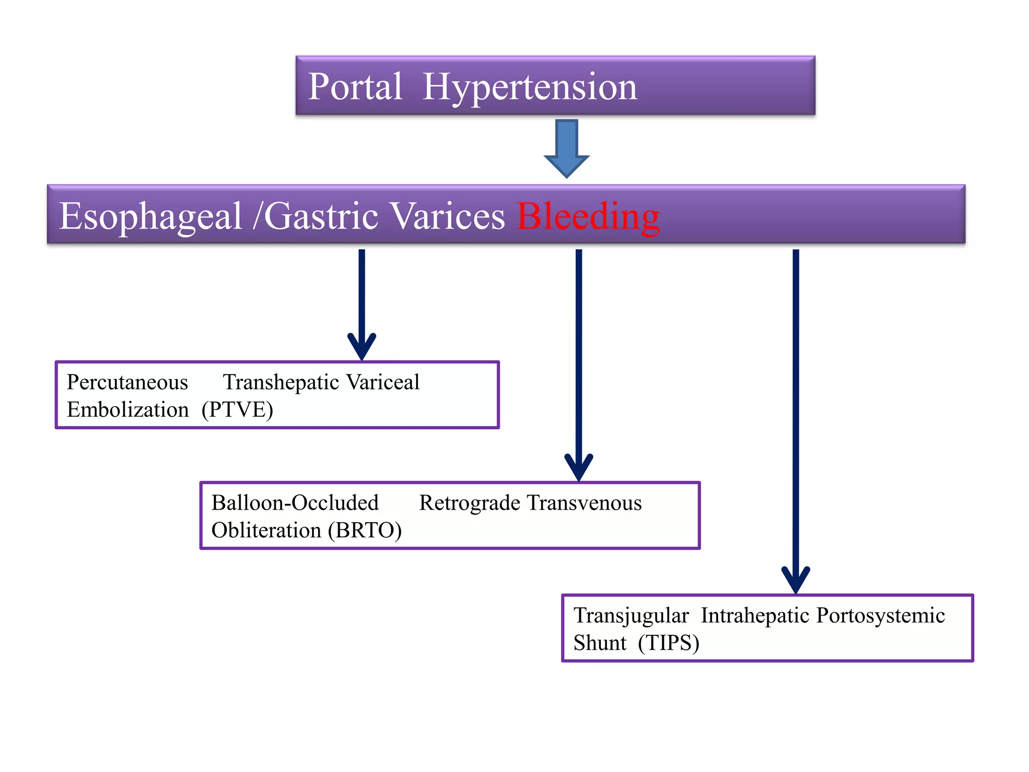 Interventional radiology in the management of gastrointestinal bleeding ...