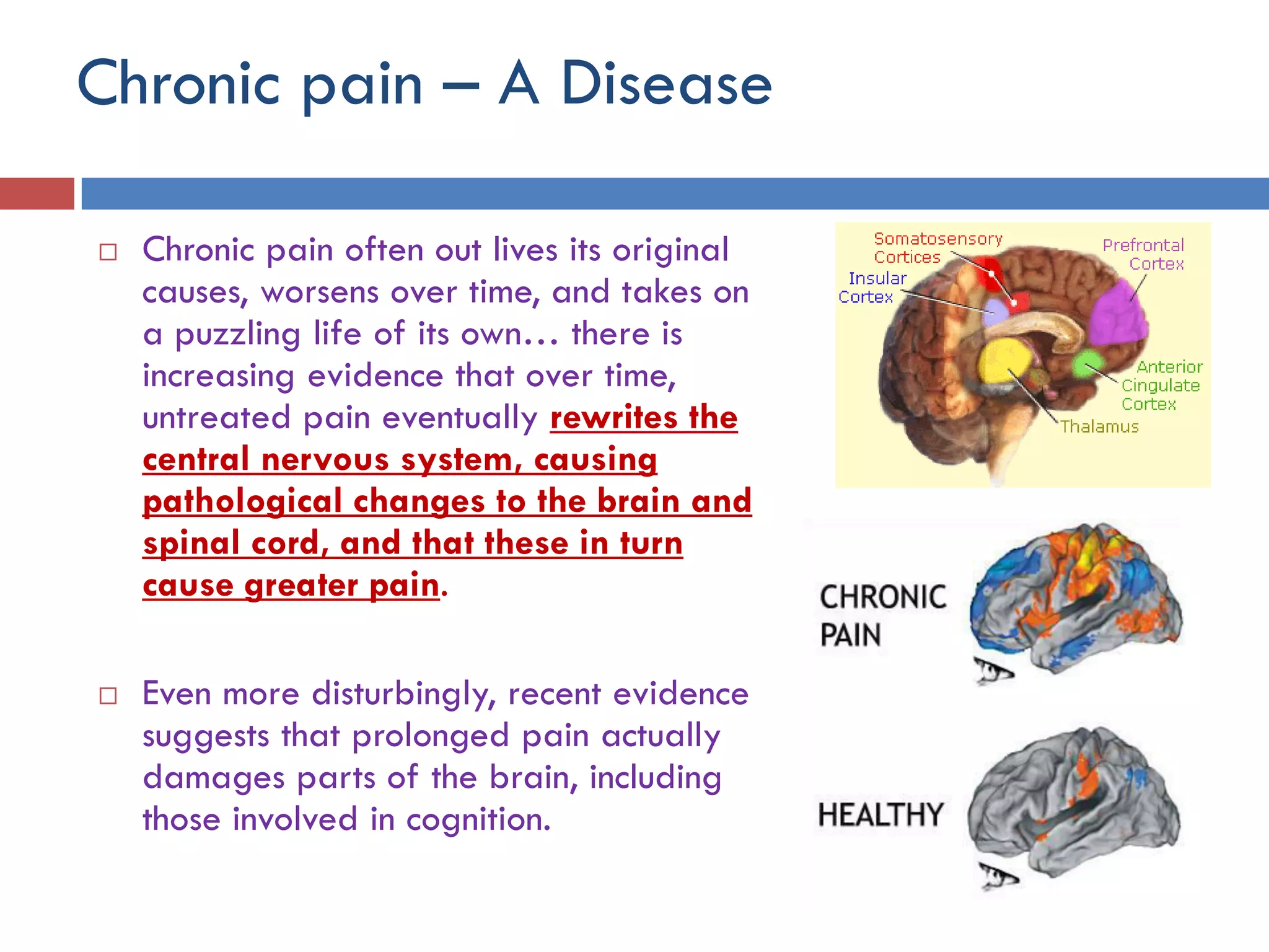 Interventional spine & pain management dr manish raj | PDF
