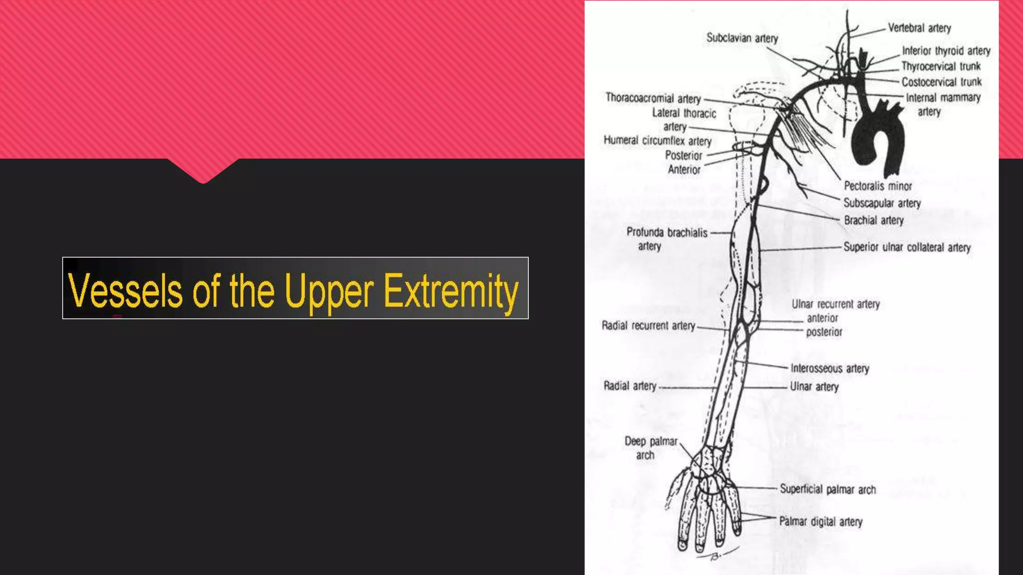 Intervention signs | PPT