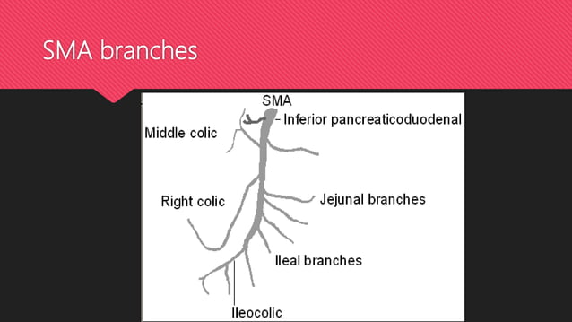 Intervention signs | PPT