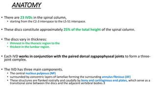 Intervertebral disc anatomy - Dr Sameep Koshti (Consultant Neurosurgeon ...
