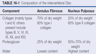 Intervertebral disc anatomy - Dr Sameep Koshti (Consultant Neurosurgeon ...