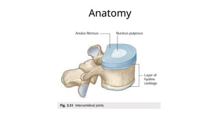 Intervertebral Disc Herniation, it's anatomy | PPTX