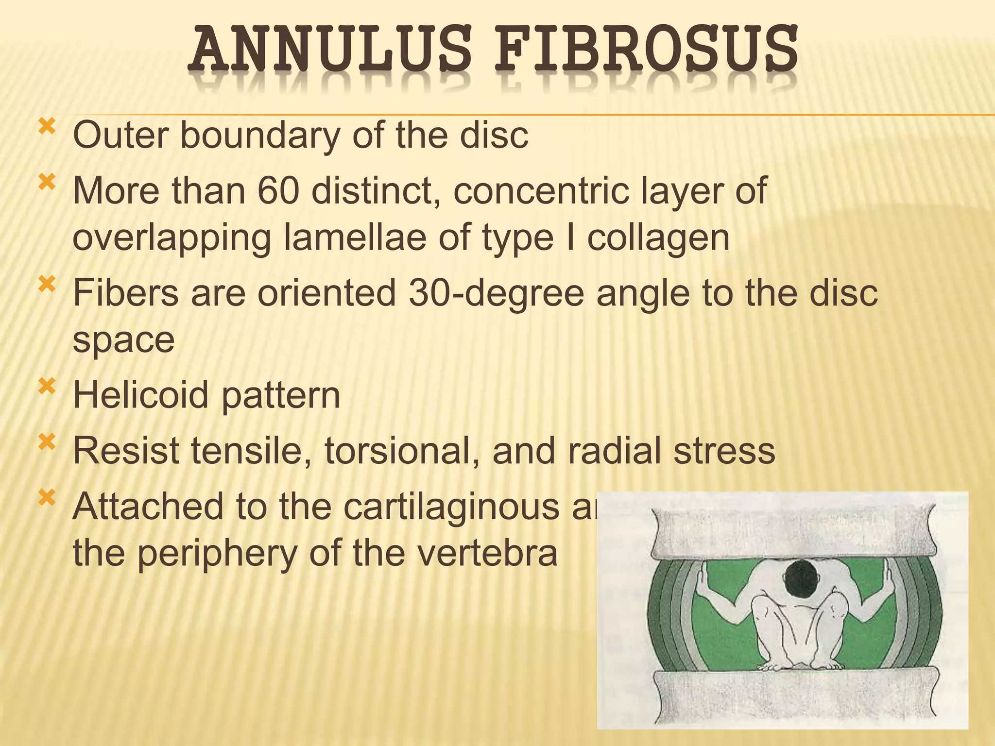 Inter vertebral disc prolapse | PPTX