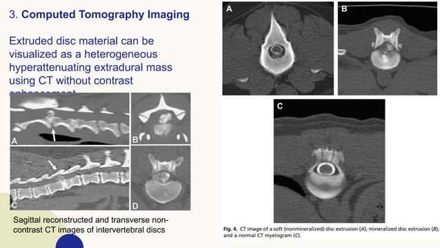 INTERVERTEBRAL DISC PROTRUSION in Dogs.pptx | Bone and Joint Conditions ...