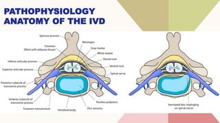 INTERVERTEBRAL DISC PROTRUSION in Dogs.pptx
