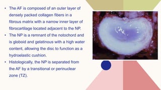 INTERVERTEBRAL DISC PROTRUSION in Dogs.pptx
