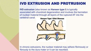 INTERVERTEBRAL DISC PROTRUSION in Dogs.pptx