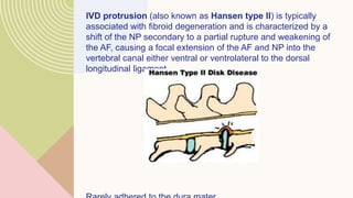 INTERVERTEBRAL DISC PROTRUSION in Dogs.pptx
