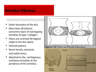 Intervertibral disc prolapse | PPTX
