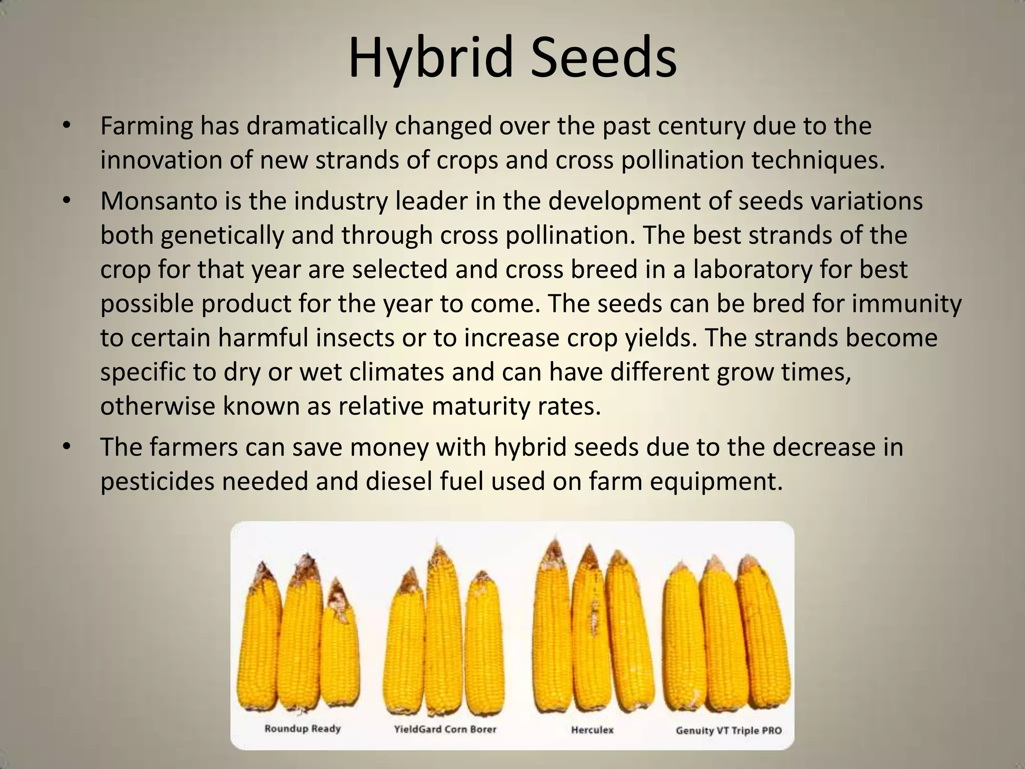 Hybrid Seeds in Farming | PPTX