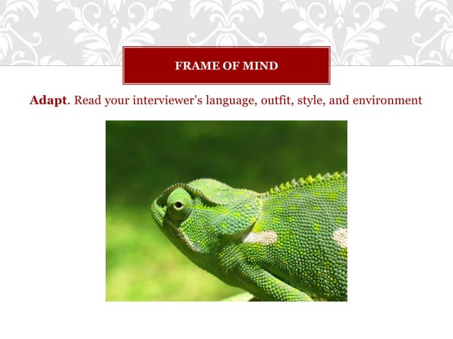 Interview conversations | PPT