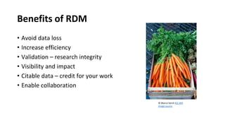 Interview slides 19.09.16