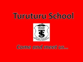 Turuturu School Interviews | PDF