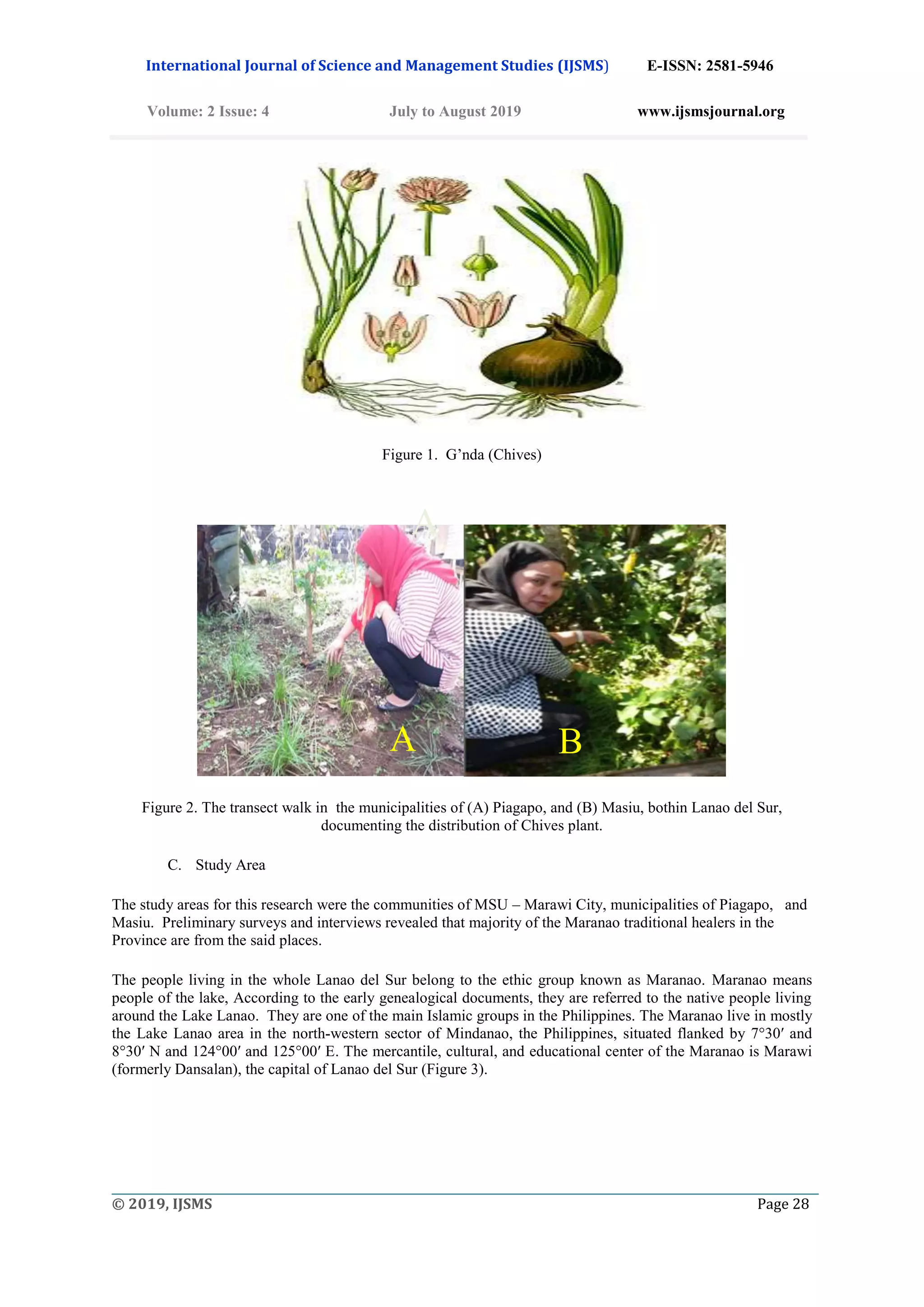 Maranao Ethnobiology of G’nda/Chives (Allium schoenoprasum) | PDF