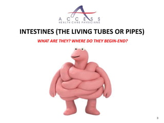 Intestinal | PPTX