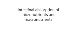 Intestinal absorption of micronutrients and macronutrients.pptx