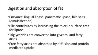Intestinal absorption of micronutrients and macronutrients.pptx