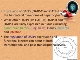 Intestinal transporters in drug absorption | PPTX