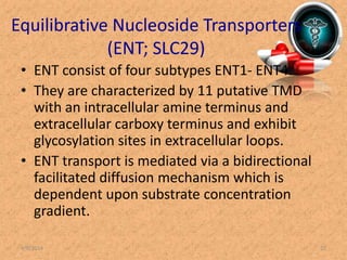 Intestinal transporters in drug absorption | PPTX