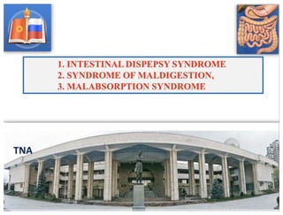Intestinal dyspepsia, malabsorption, maldigestion.pdf