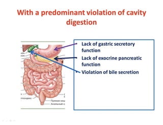 Intestinal dyspepsia, malabsorption, maldigestion.pdf