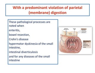 Intestinal dyspepsia, malabsorption, maldigestion.pdf