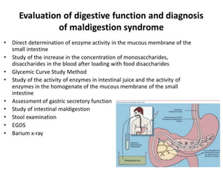 Intestinal dyspepsia, malabsorption, maldigestion.pdf