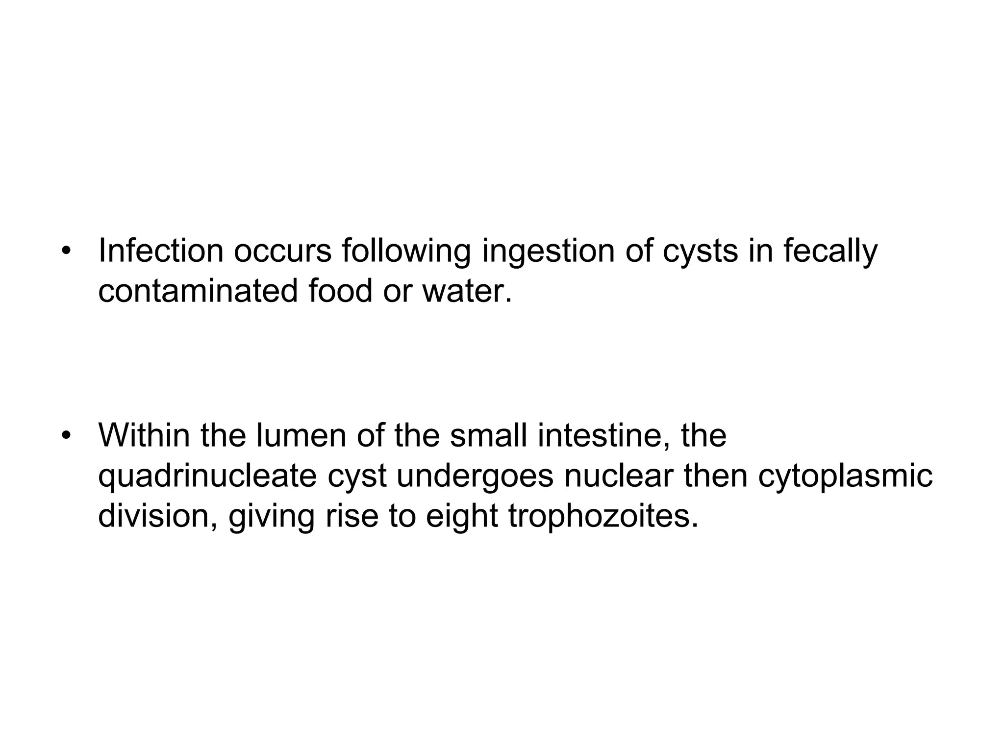 Intestinal Entamoeba histolytica amebiasis - Copy.ppt