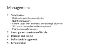 Intestinal Fistula | PPTX