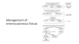 Intestinal Fistula | PPTX
