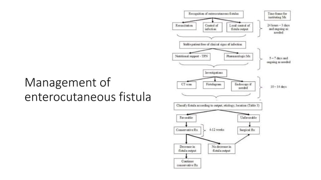 Intestinal Fistula | PPTX