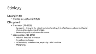 Intestinal Fistula | PPTX