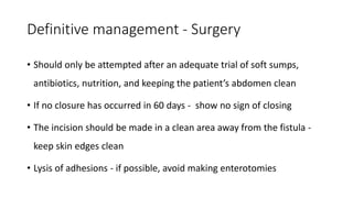 Intestinal Fistula (general surgery).pptx