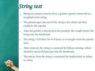 Intestinal flagellates | PPTX