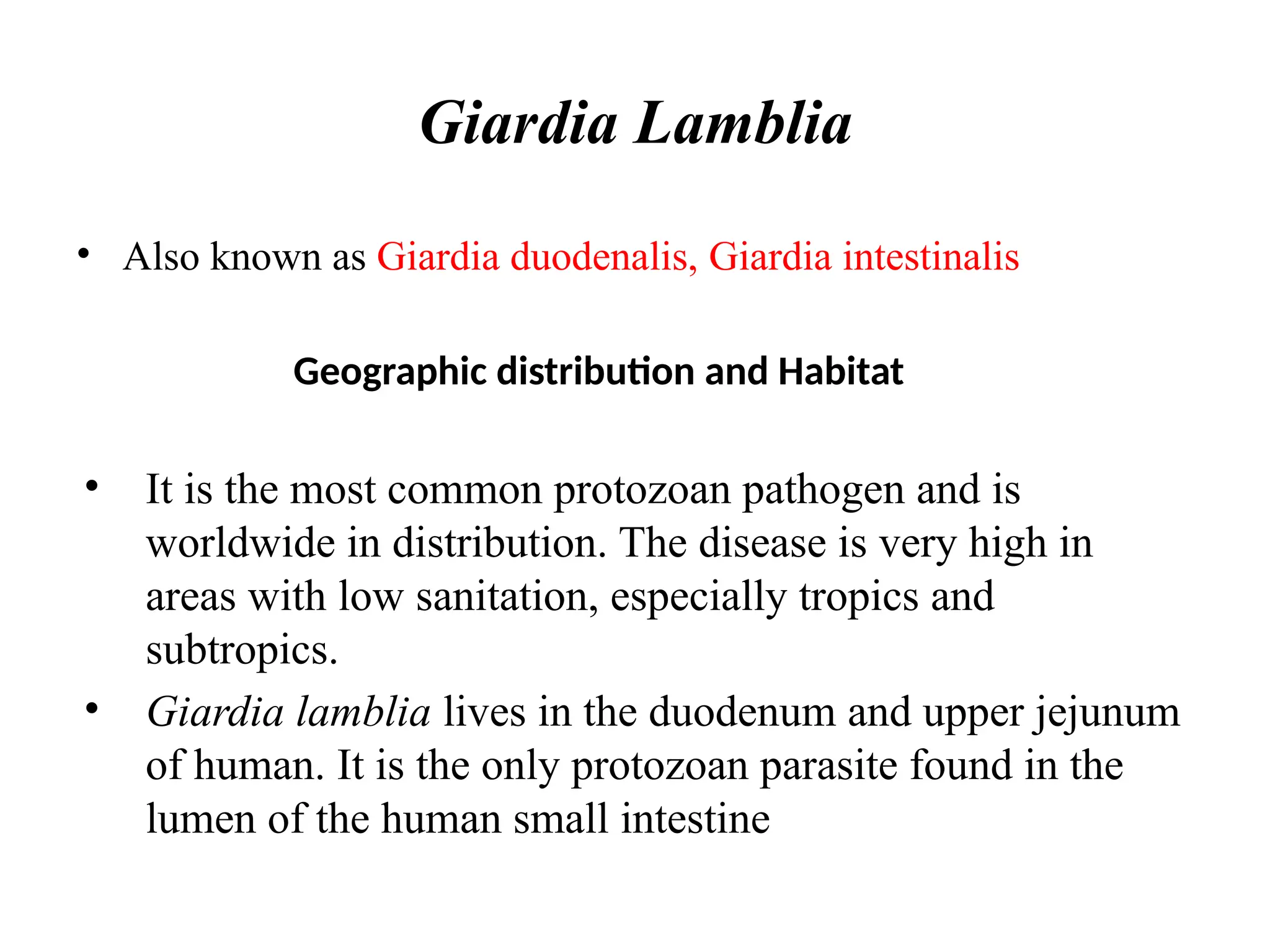 Intestinal Flagellates –GIARDIA LAMBLIA.pptx