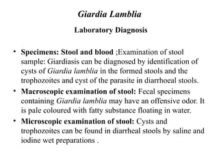 Intestinal Flagellates –GIARDIA LAMBLIA.pptx