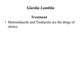 Intestinal Flagellates –GIARDIA LAMBLIA.pptx