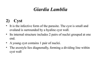 Intestinal Flagellates –GIARDIA LAMBLIA.pptx
