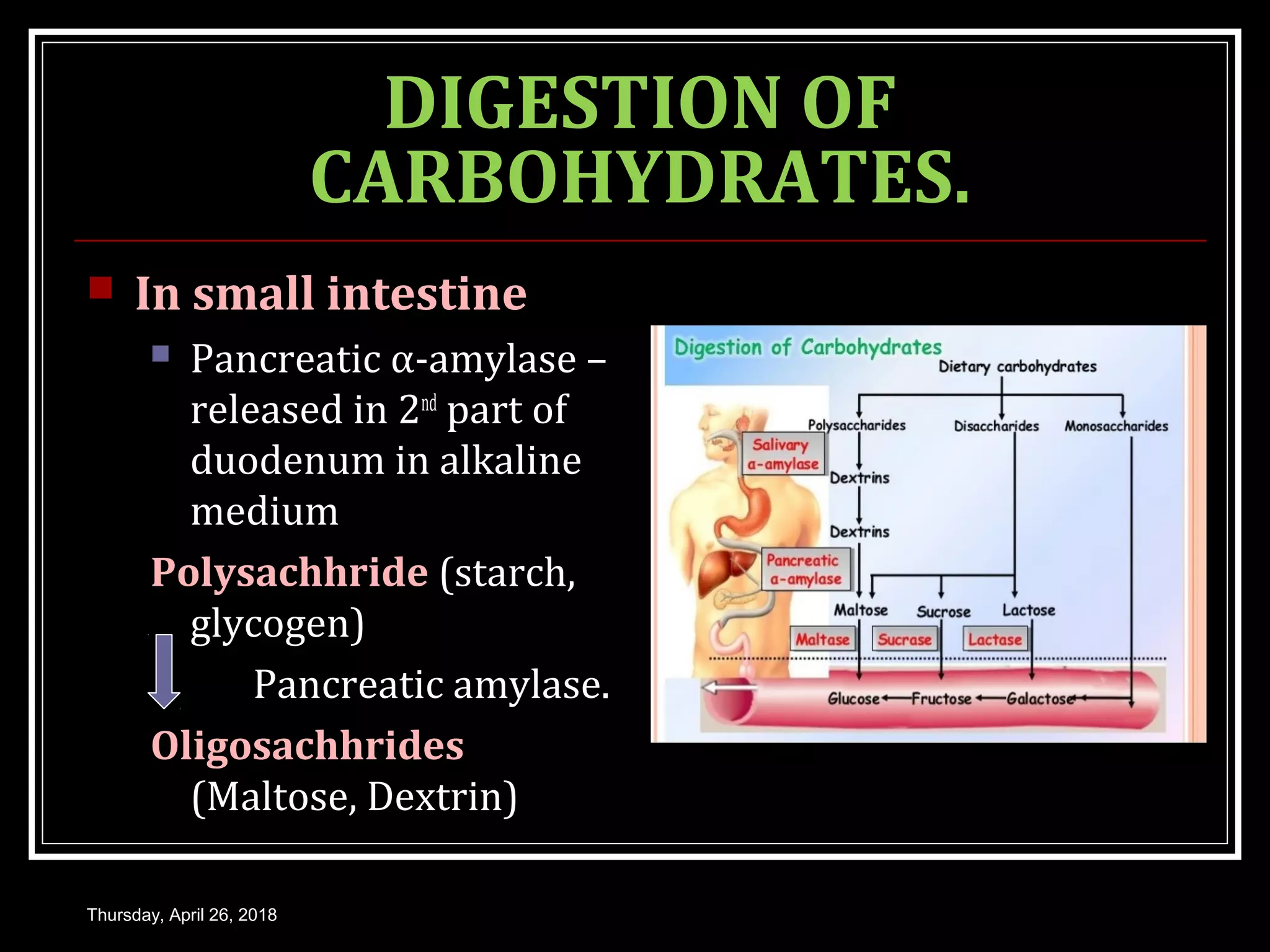 INTESTINAL GLANDS AND SECRETIONS | PPT