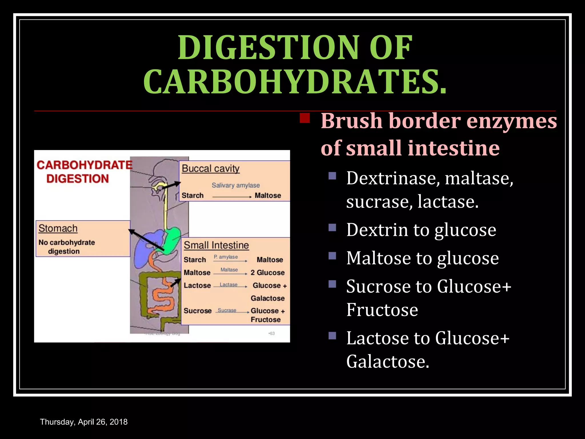 INTESTINAL GLANDS AND SECRETIONS | PPT