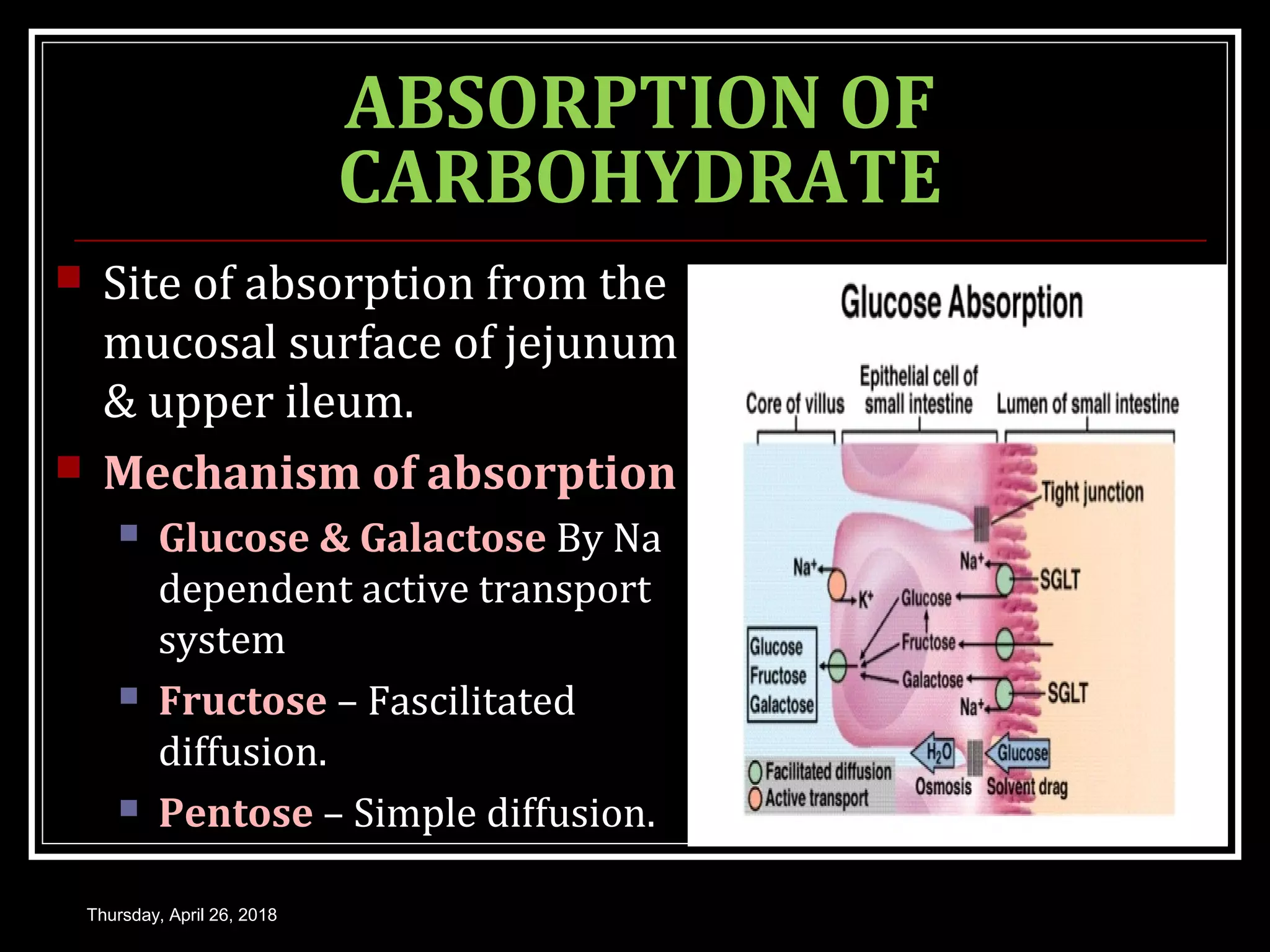 INTESTINAL GLANDS AND SECRETIONS | PPT